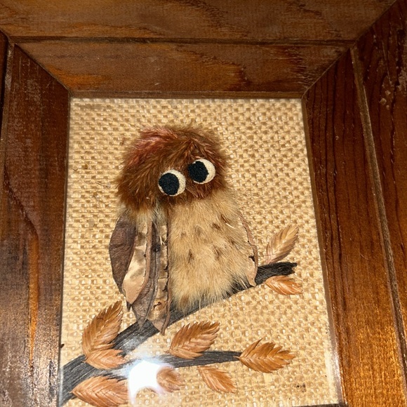 Wall Decor | Vintage Shadow Box Framed Owl With Real Feathers Looks ...